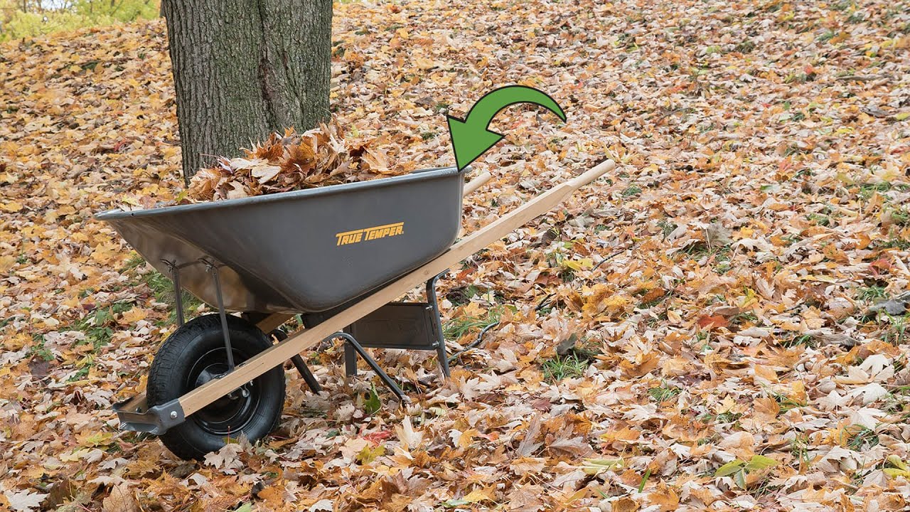 True Temper Wheelbarrow Review: Your Reliable Partner for Heavy-Duty Projects!