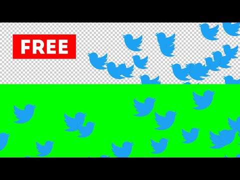 Twitter logo animation green screen, Transparent background | 3 animations free download