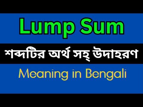 Lump Sum Meaning In Bengali /Lump Sum mane ki