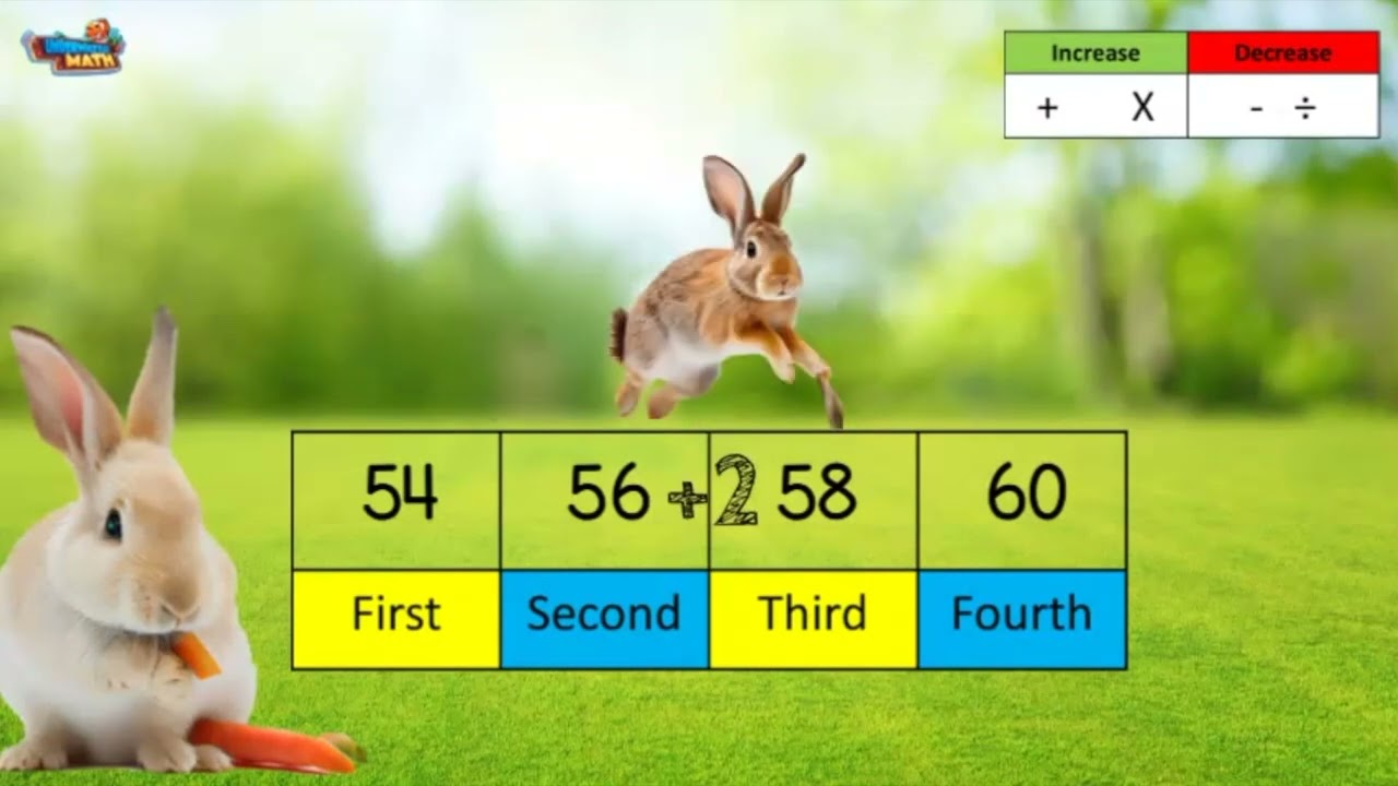 Identify Numerical Patterns | 3rd Grade Math