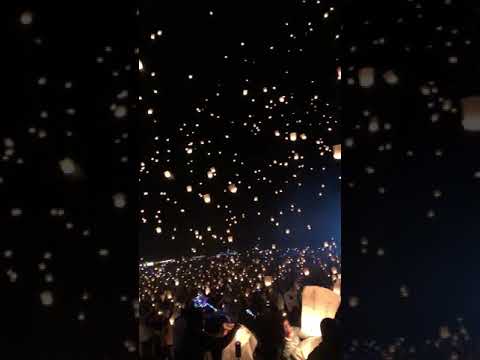 The light festival 2019 PA