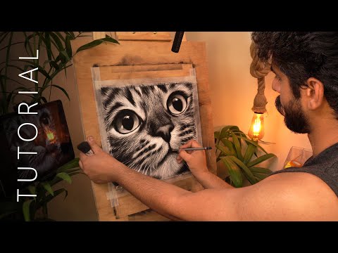 HOW TO DRAW A CAT - Basics of Charcoal Video Lecture - Complete Drawing ...
