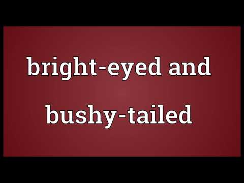 Bright eyed and bushy tailed Meaning