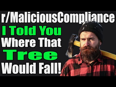 r/MaliciousCompliance - I Told You Where That Tree Would Fall! - #588