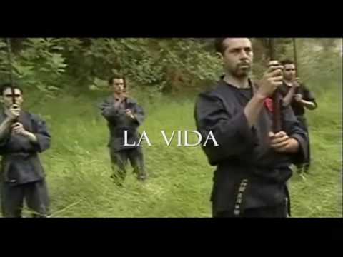 Qué es ninjutsu? | Aventuras en un mundo desconocido