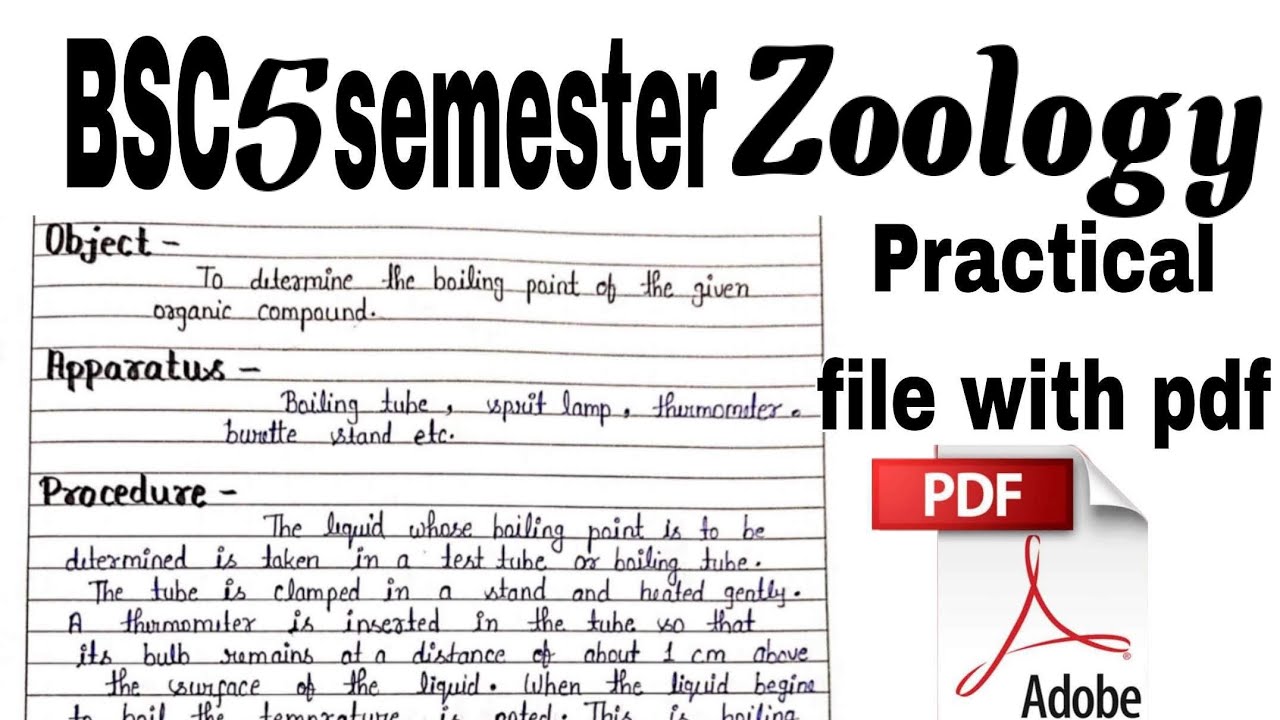 B.sc 5 semester Zoology practical file with pdf download