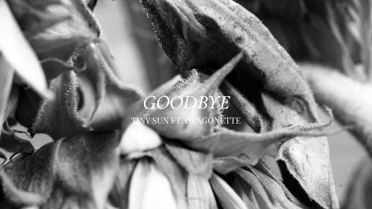 Tiny Sun - Goodbye  ft Dragonette (Official Visualizer)