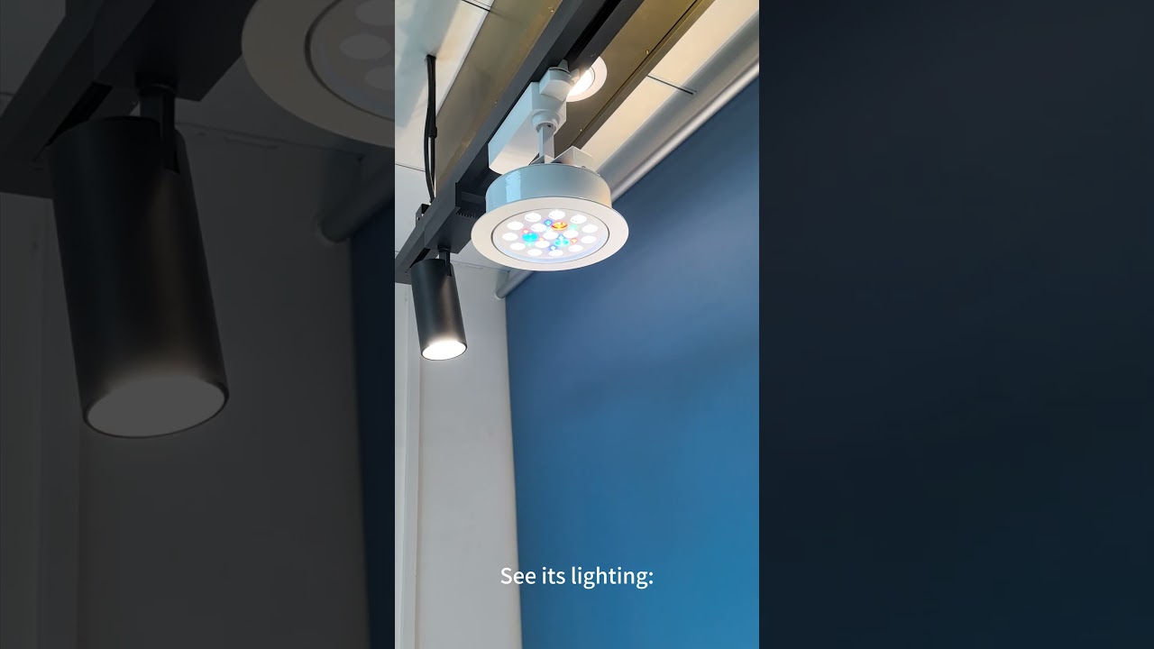 Illuminate Jewelry: Smart Jewelry Display Upgrade-Track rotating light#tracklight#rotatinglight