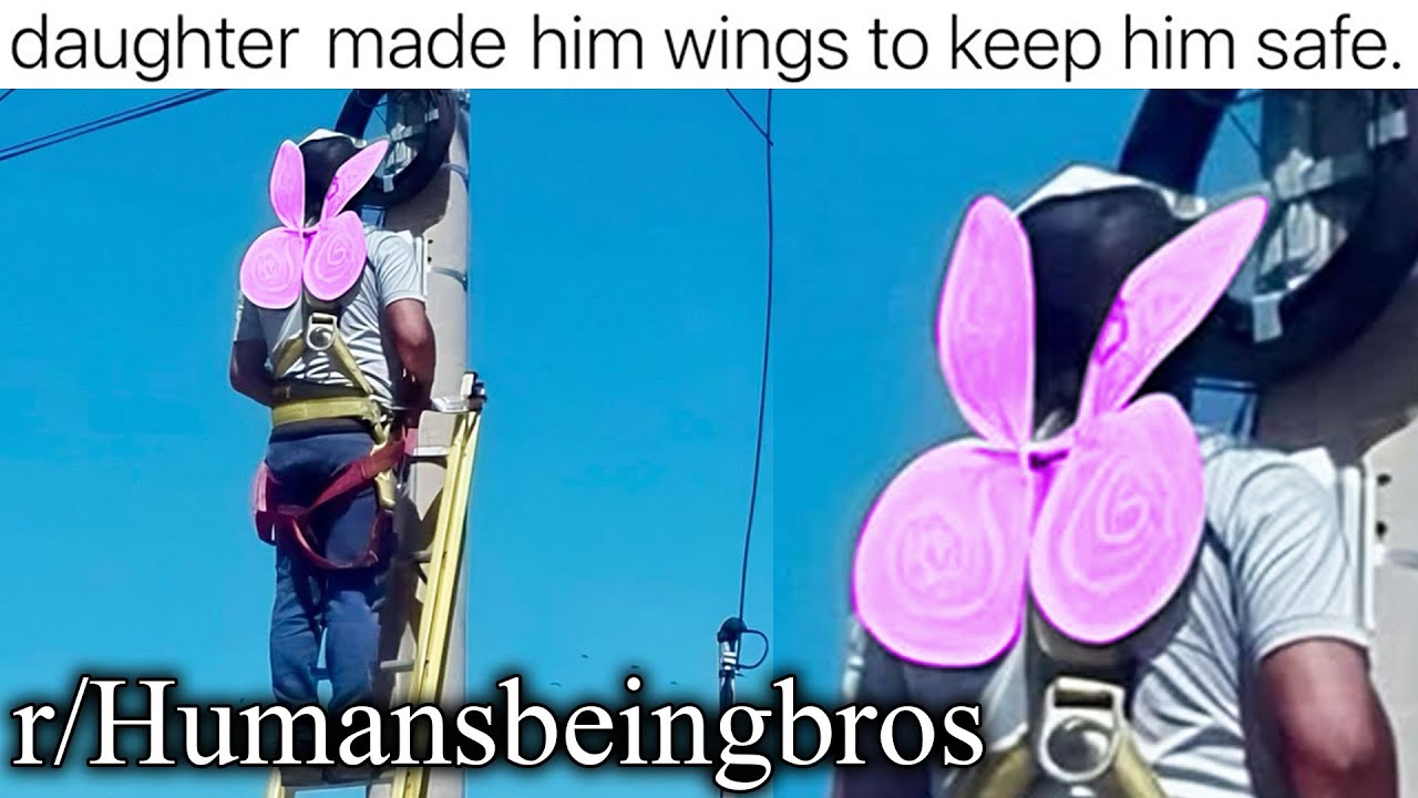 humans being bros