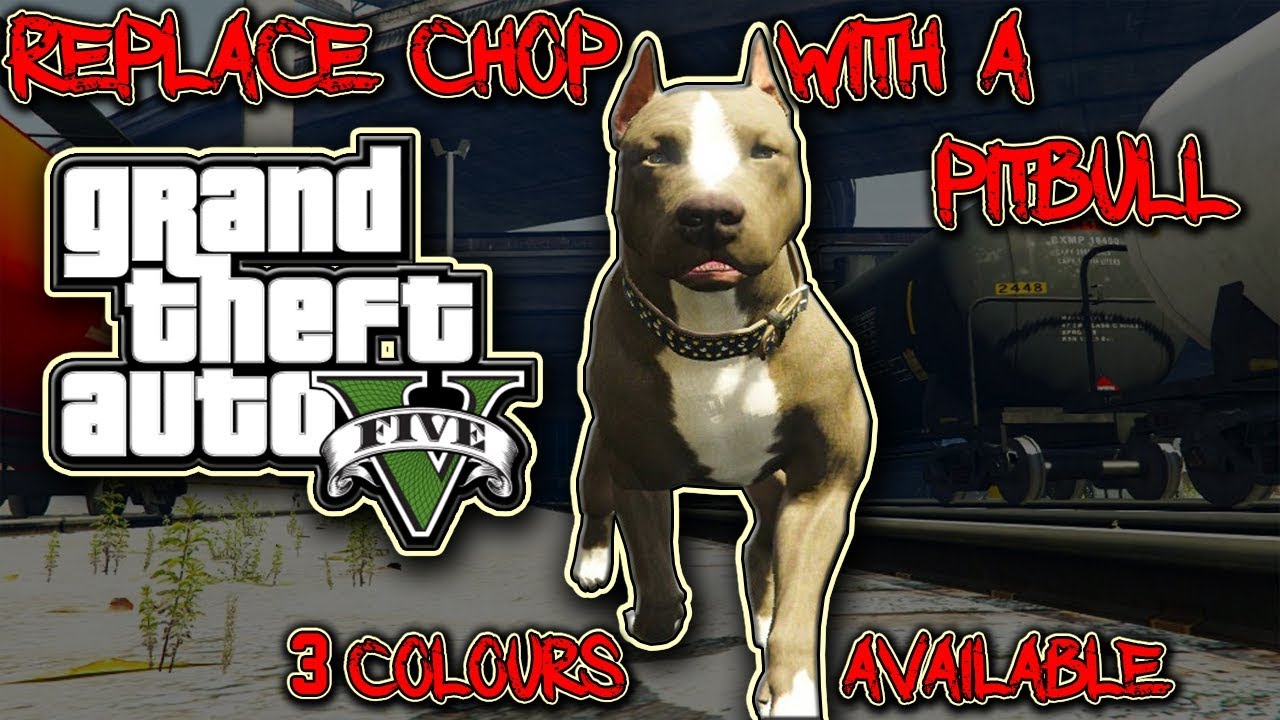 Pit bull (Replace Chop) 1.1 - GTA 5