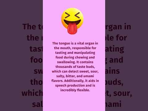 The Tongue. #tongue #information #english