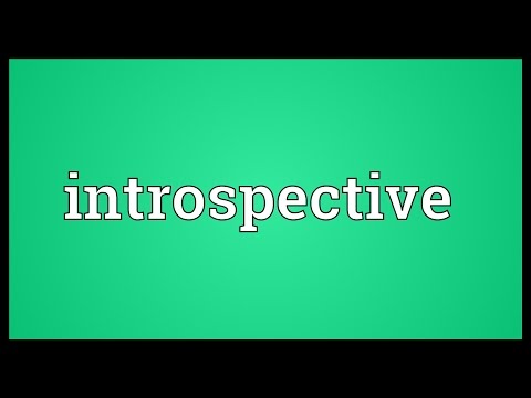 Introspective Meaning