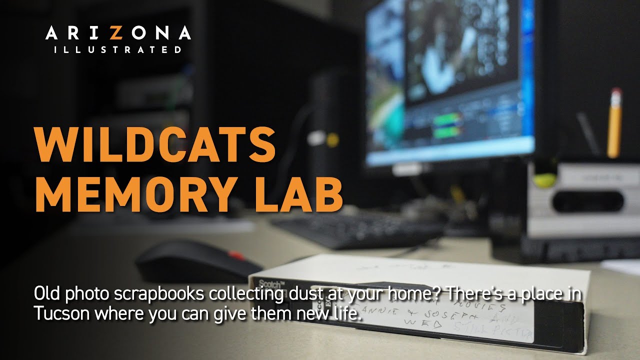 Wildcats Memory Lab