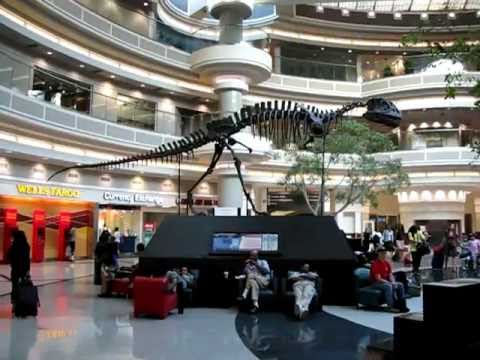 Atlanta Hartsfield-Jackson International Airport (ATL) Main Terminal Food Court
