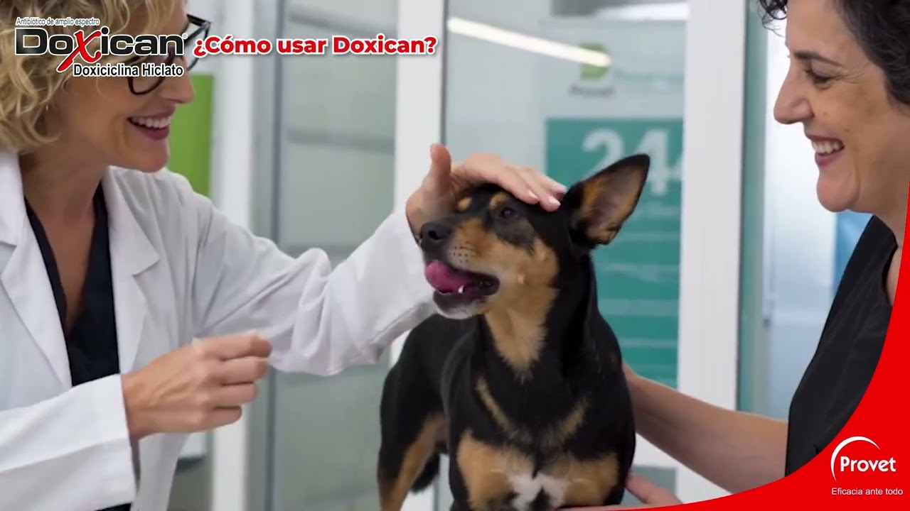 Doxican Capacitación