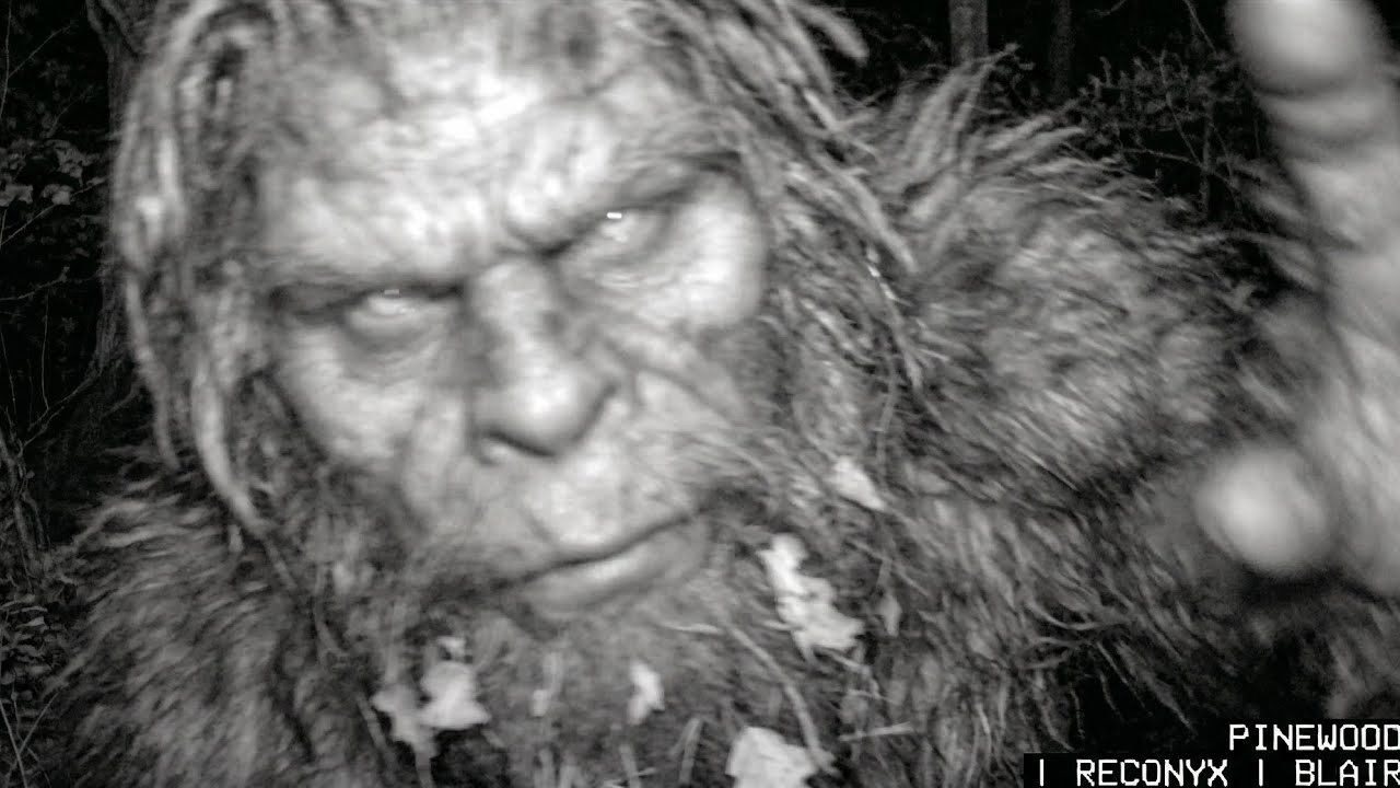 All the Clearest NEW Bigfoot Footage in One LONG Video!