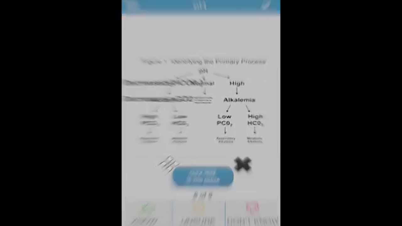 MCAT Biology and Physiology Flashcard