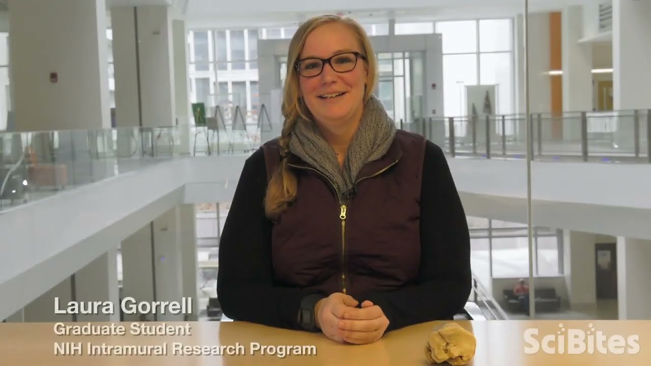 NIH SciBites:  Helping Cells Build Strong Bones