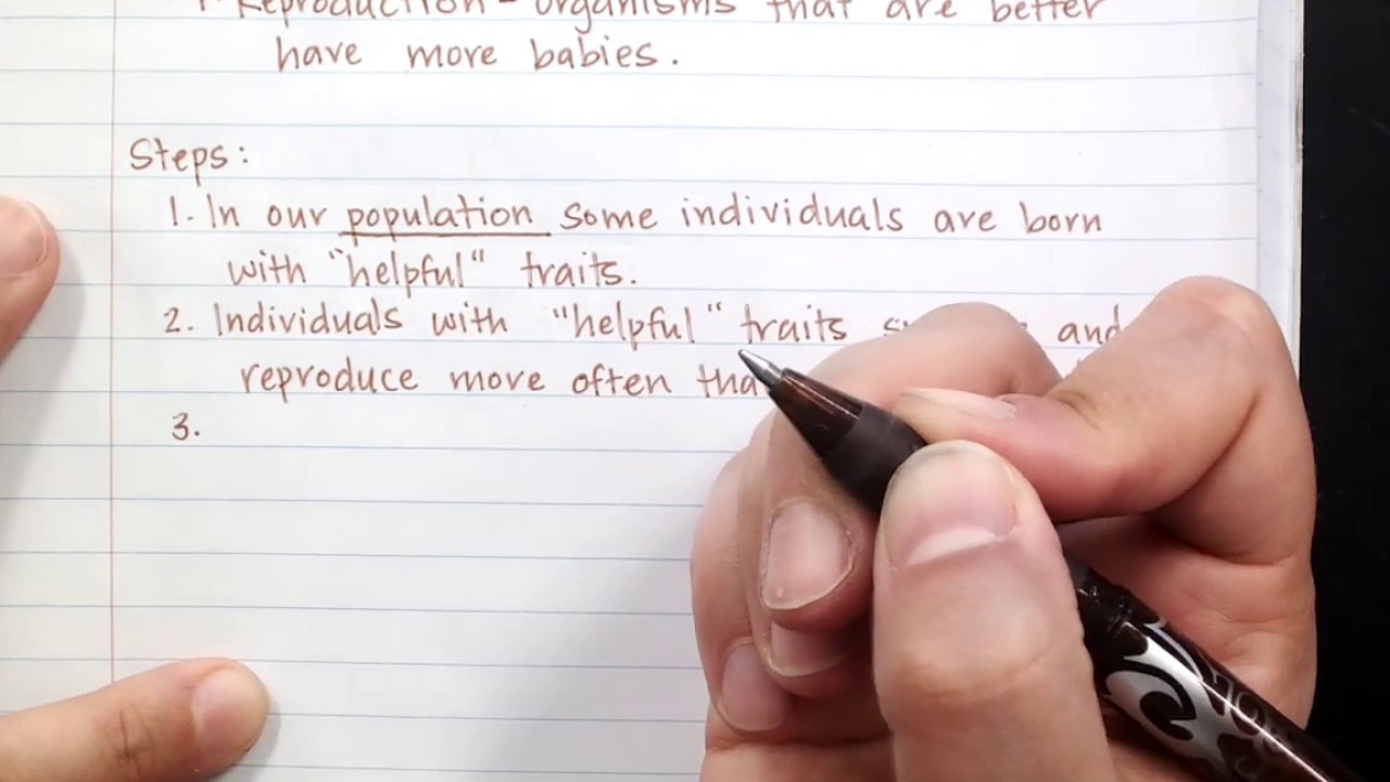 Evolution and Natural Selection NOTES