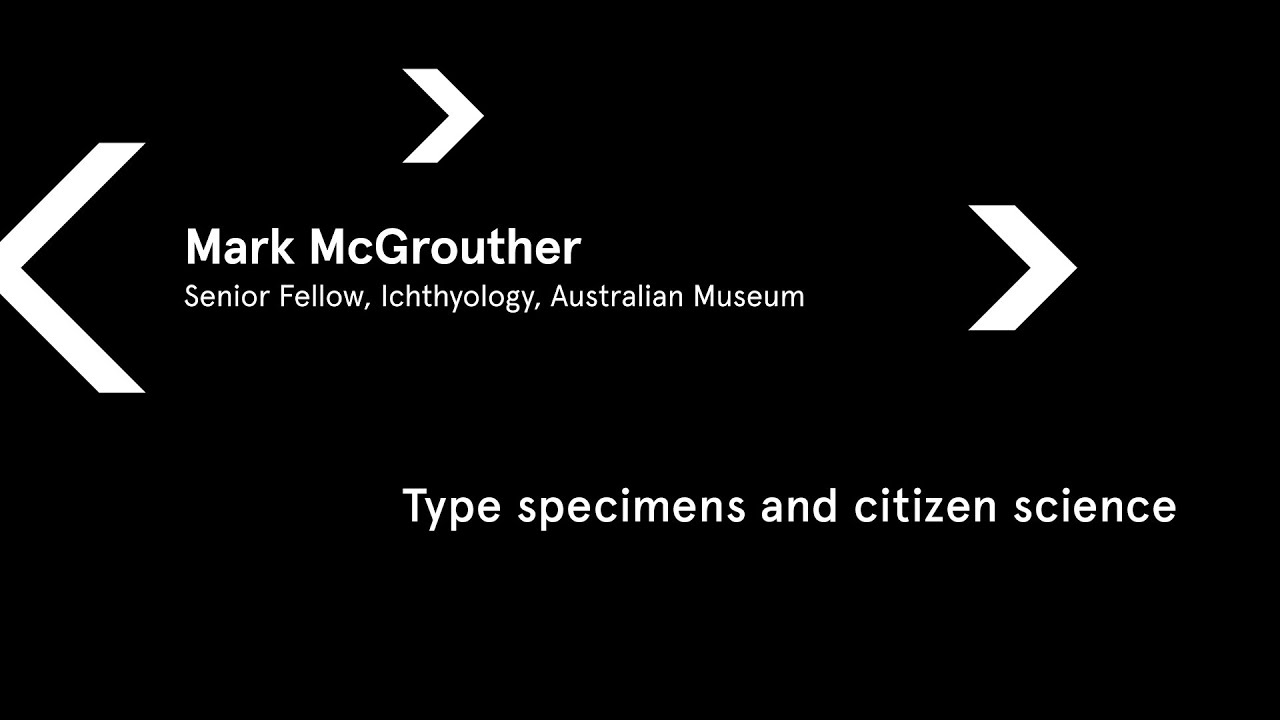 Mark McGrouther - Type specimens and citizen science