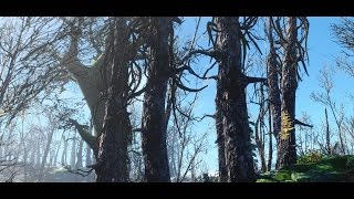 Fallout 4 Visual Setup March 2016 at Fallout 4 Nexus - Mods and community