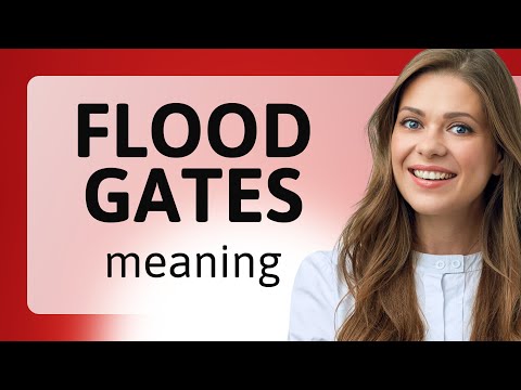 Unlocking the Meaning of "Flood Gates"