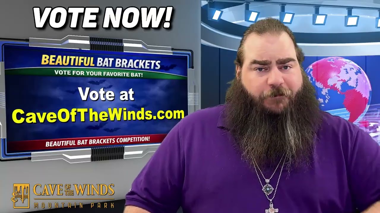 VOTE Beautiful Bat Brackets - Cave of the Winds Mountain Park