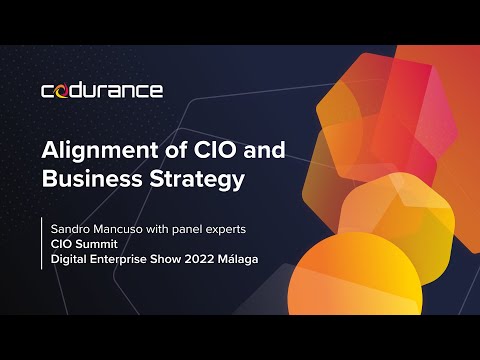 Alignment of CIO and Business Strategy