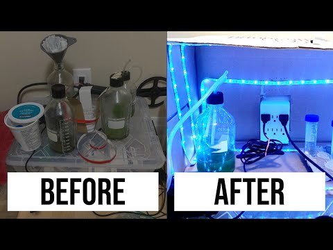 Building a new algae cultivation system!
