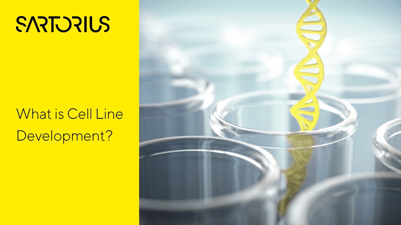 What is Cell Line Development? Key Steps for Biopharmaceutical Production