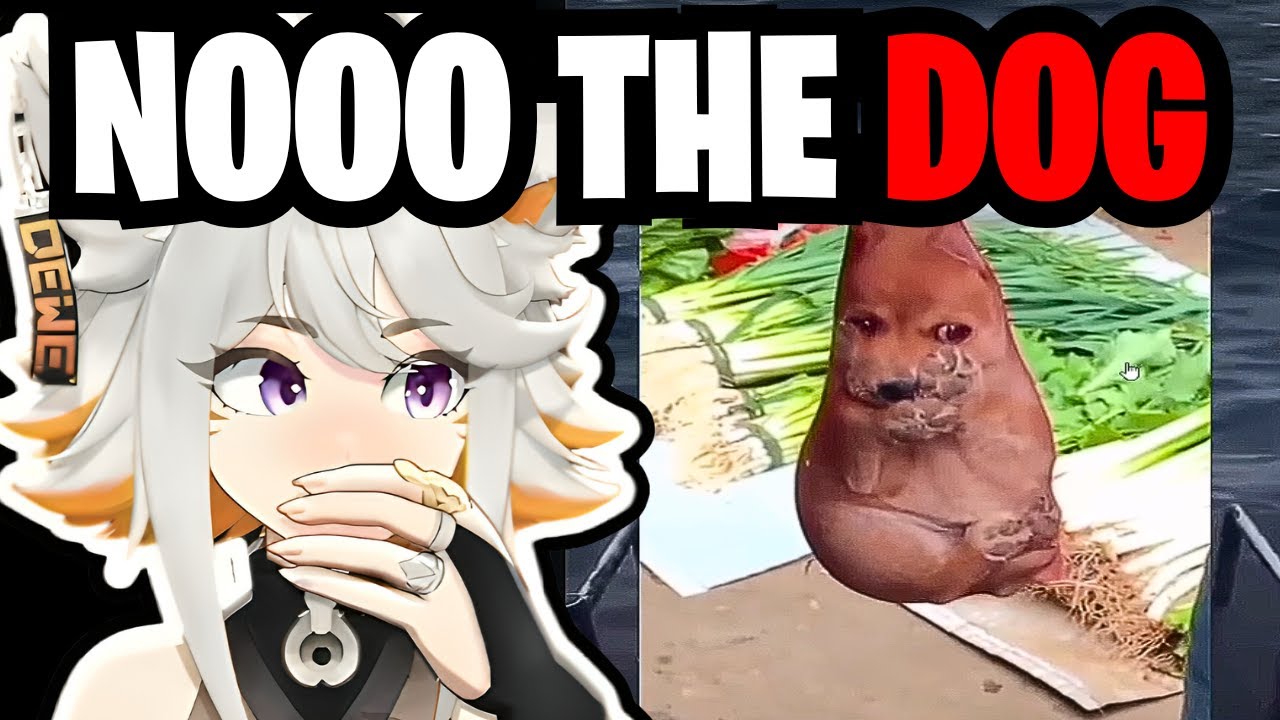 Deme Reacts to WRONG Memes Online V16