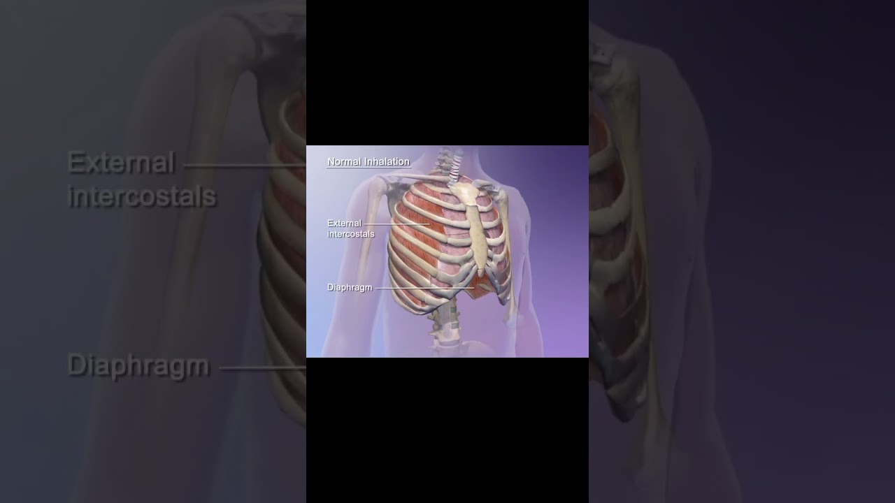 #breathing #fypyoutube