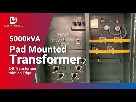 5000kVA Pad Mounted Transformer | Daelim Transformer