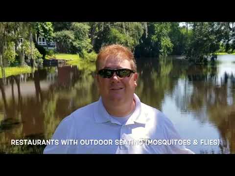 Vlog 3: What Mosquito Squad Treats