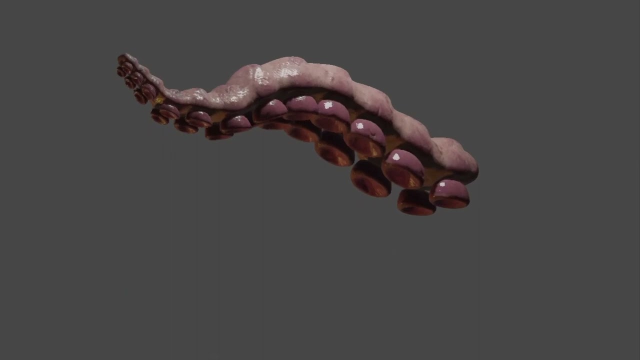 Custom Tentacle Rig and Animation