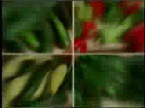 TopsyTurvy Commercial