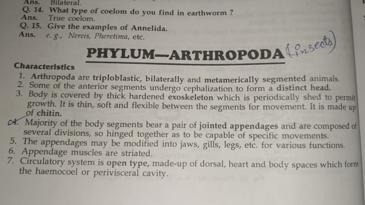 phylum - arthropoda classification zoology practical best handwritten study notes