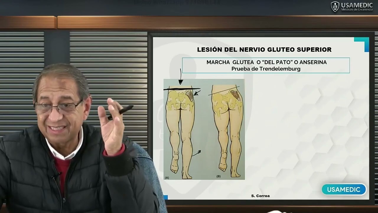 USA MEDIC Anatomía 2