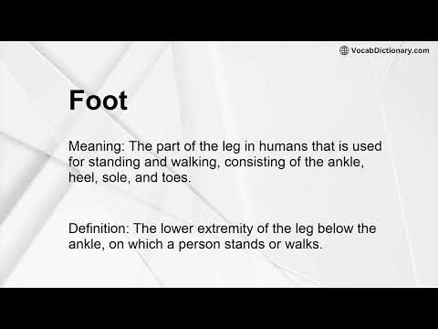 Foot Meaning