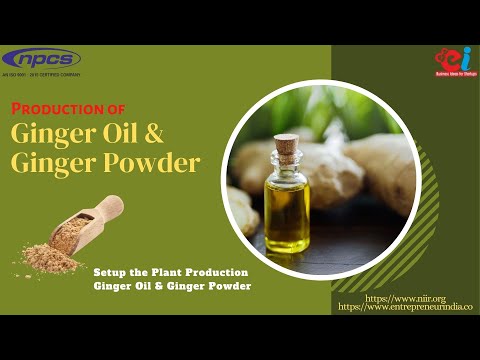 Production Plant of Ginger Oil & Ginger Powder | Business Plan for ...