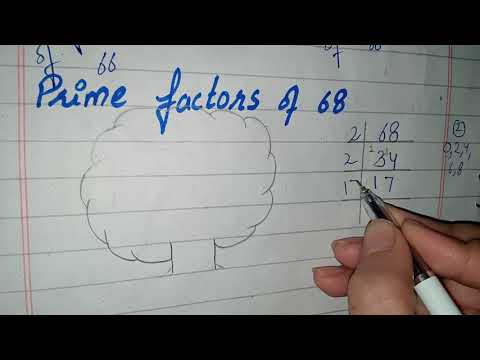 Factor Tree of 68|Prime Factorization of 68