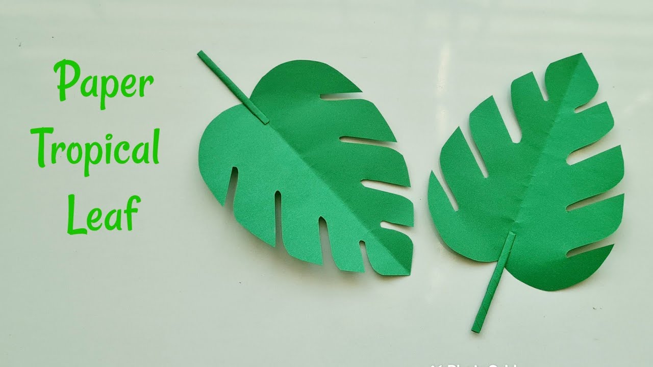 Paper Tropical Leaf | How To Make Tropical Leaf | Paper Leaves Cutting | DIY | Diary Of Art
