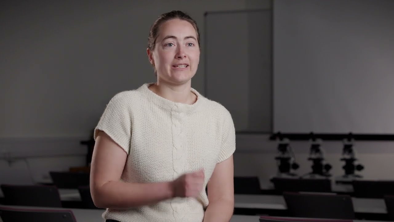 World Quantum Day - Many Paths to Quantum