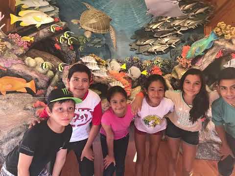 Help CAV Cabo Pulmo keeps its services! - GlobalGiving