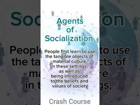 school as agent of socialization #crashcourse #sociology
