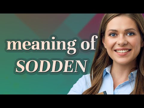 Sodden | meaning of Sodden