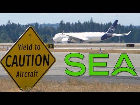 Inside Seattle Tacoma International Airport | SEA Airport
