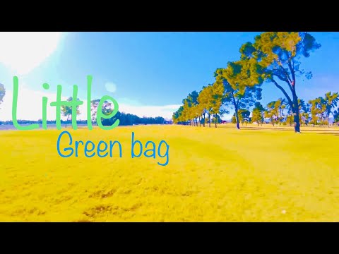 little GREEN BAG