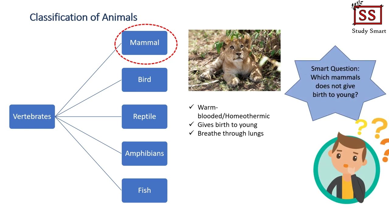Science Form 2 Chapter 1 (Biodiversity)