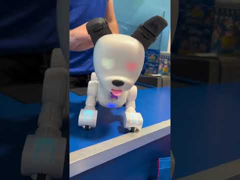 Introducing your NEW best friend - the MINTiD Dog-E Interactive Robot Dog! 😍 🐾 🐶 #smythstoys